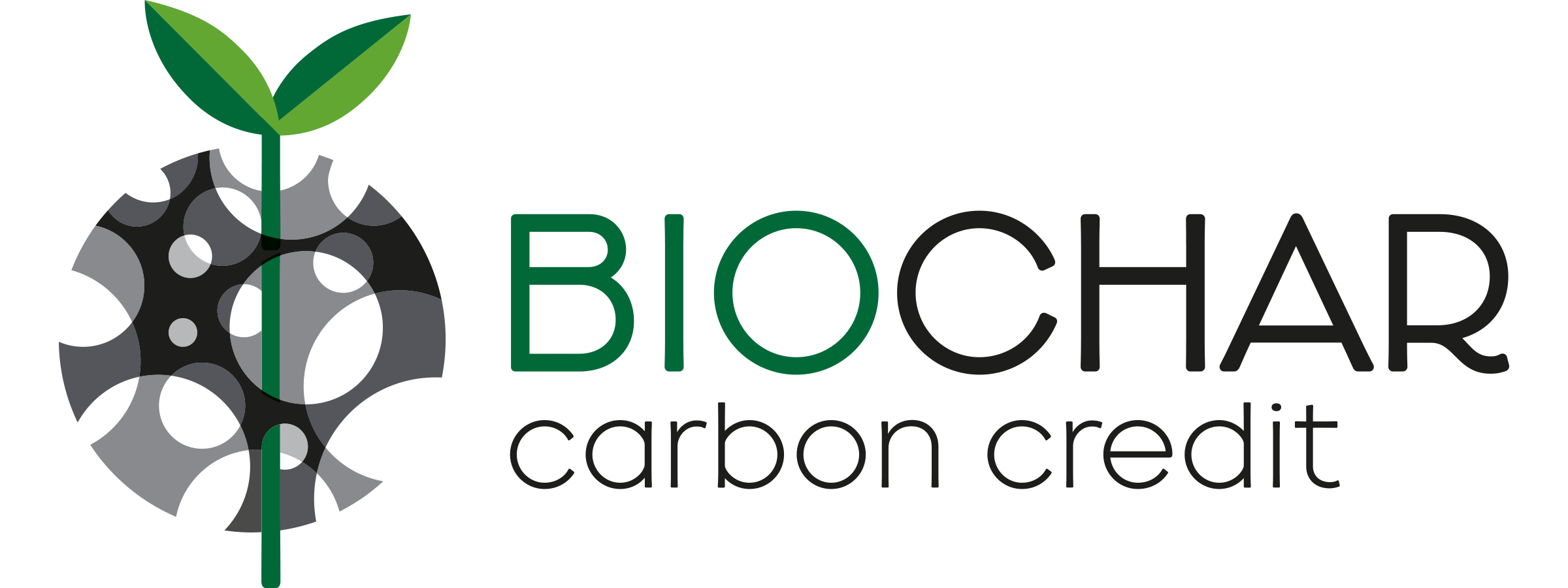 Biochar